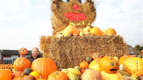 K Rbish Fe In Nrw Tipps F R Den Perfekten Herbstausflug