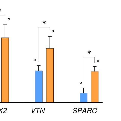 Specific Mrna Transcript Levels Coding Human Runt Related Transcription