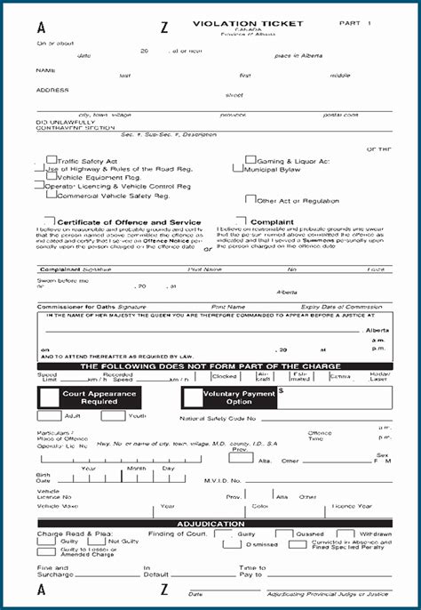 Blank Parking Ticket Template