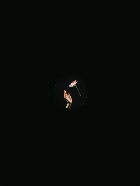 H Nh N N Amoled K Ktkthaugiang Edu Vn