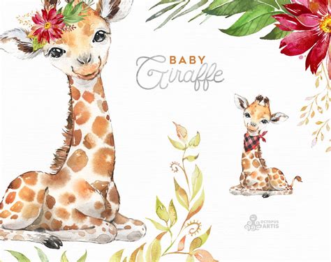 Baby Giraffe Aquarell Kleine Tier Clipart Babys Blumen Etsy