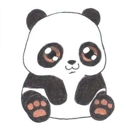 How To Draw A Baby Panda Step By Step