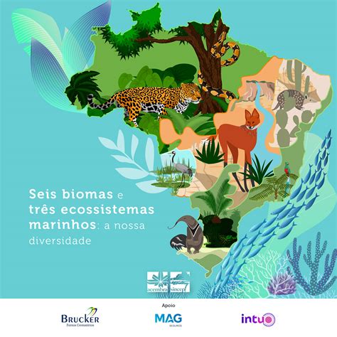 Jul Biodiversidade Brasileira Acembra Sincep News