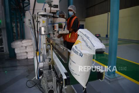 Pengamat Bulog Perlu Lebih Fleksibel Dalam Pengadaan Beras Republika