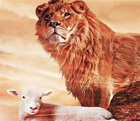 El que habita al abrigo del Elyon morará a la sombra del SHADAY Animals