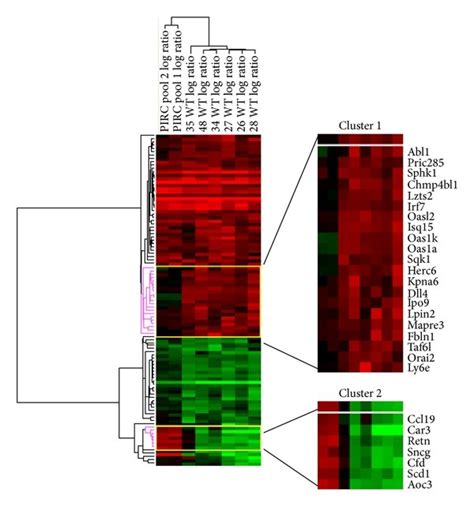 Unsupervised Hierarchical Cluster Analysis Based On The 101 Genes
