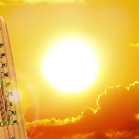 Il 2019 anno più caldo di sempre in Europa temperature 2 gradi sopra