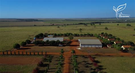 Qual Fazenda Em MT Se Destaca Na Pecuária Sustentável Rotação De