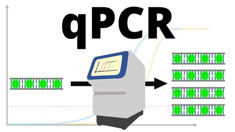 Qpcr Real Time Pcr Protocol Explained Youtube