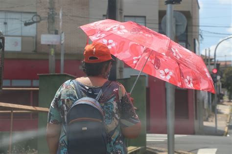 Novembro bate recorde de calor e 2023 será ano mais quente da história