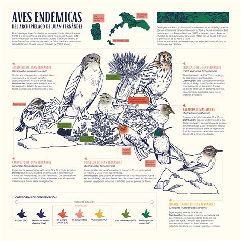 Infografía Aves Endémicas on Behance