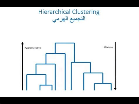 13 Hierarchical Clustering Demystified A Beginner S Guide With Real