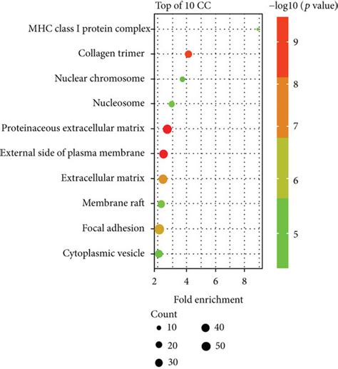 GO Functional Annotation And KEGG Pathway Analysis Of The DEGs GO
