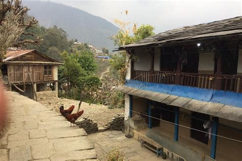 4 Nights 5 Days Easy Trek From Pokhara Valley