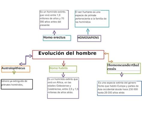 Mapa Mental Sobre El Origen De La Humanidad Brainlylat Porn Sex Picture