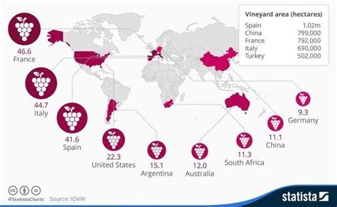 El mundo del vino a través de 10 mapas Un buen vino