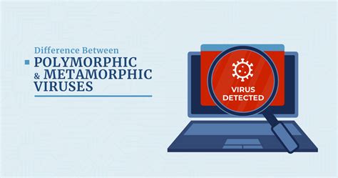 difference between polymorphic and metamorphic viruses