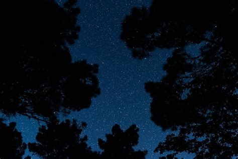 Céu estrelado de noite escura e galáxia no fundo do universo do espaço