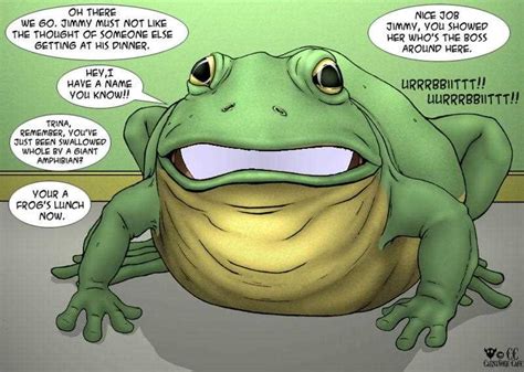 Uncovering The Enigmatic Secrets Of Kyoto Frog And Osaka Frog