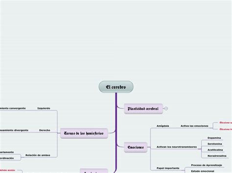 El Cerebro Mind Map