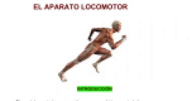 Juegos De Ciencias Juego De Locomotor System Biology Cerebriti
