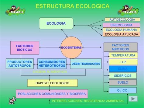 Amas De La Ecologia Mapa Conceptual Jlibalwsap