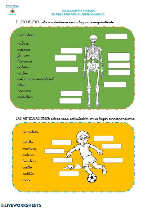 Ficha Online De El Cuerpo Humano Para Y Ed Primaria Puedes