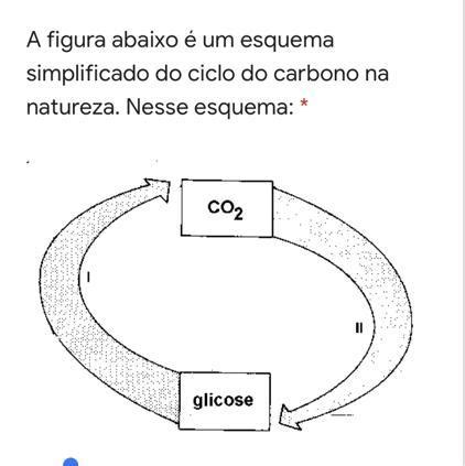 UrgenteA figura abaixo é um esquema simplificado do ciclo do