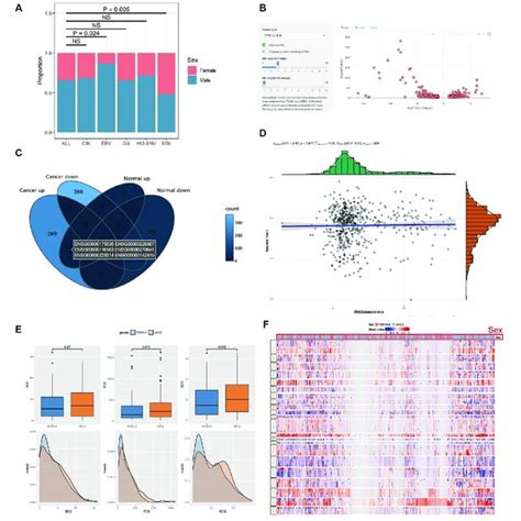molecular differences module a sex bias of molecular subtypes b download scientific diagram