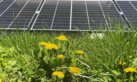 Programul Casa Verde Fotovoltaice 2024 Când începe sesiunea și ce