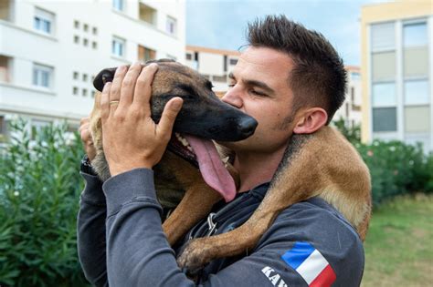 Maître de chien La gendarmerie recrute
