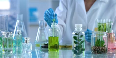 Caracter Sticas Del Conocimiento Cient Fico