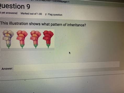 Solved Question 2 Not Yet Answered Marked Out Of 1 00 P Flag Chegg