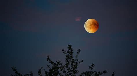Eclipse Totale De Soleil En Espagne Tout Ce Qu Il Faut Savoir Pour Se