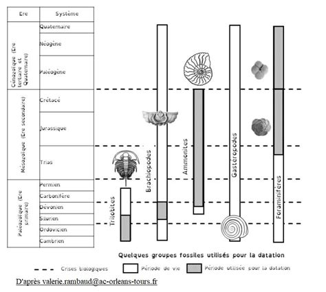 LOhayonSVT T EDS passé géologique chap 1 datation