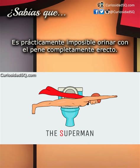 Sabías que Es prácticamente imposible orinar con el pene erecto
