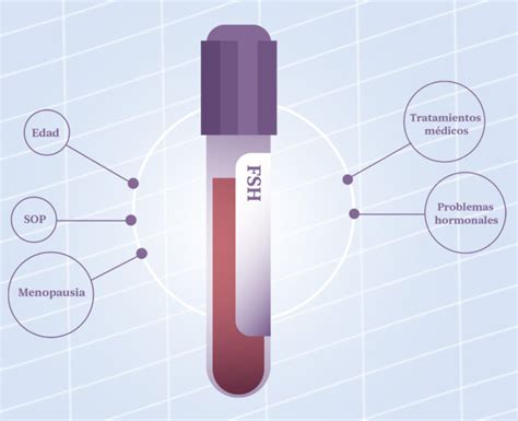 Sangrado de implantación por qué sucede Next Fertility