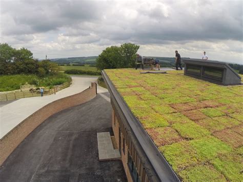 M Tray Modular Green Roofs Wallbarn
