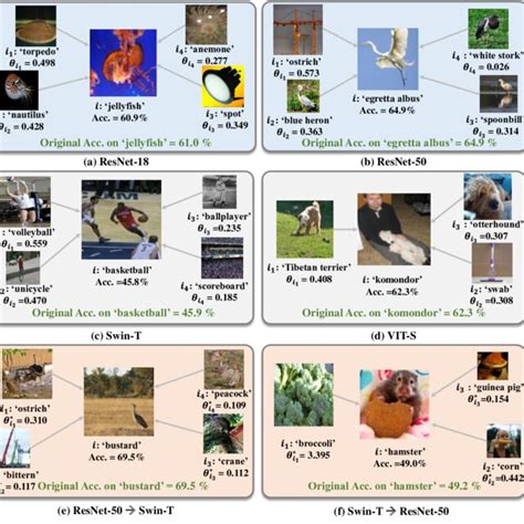 neural dependencies in popular multi class classification networks download scientific diagram