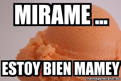 Meme Personalizado Mirame Estoy Bien Mamey 1870171