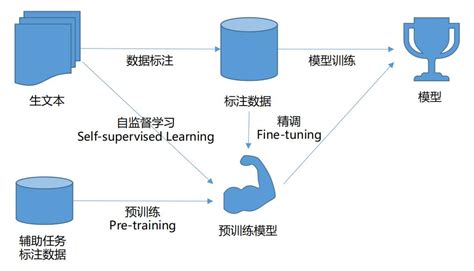 bert模型预训练与微调 bert预训练和微调 csdn博客