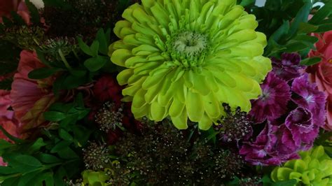 Schnittblumen Gärtnerei Nißl