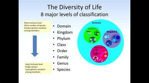 BIOL 105 1 2