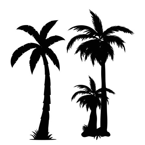 Vector Palm Tree Silhouette On White Vector Art At Vecteezy