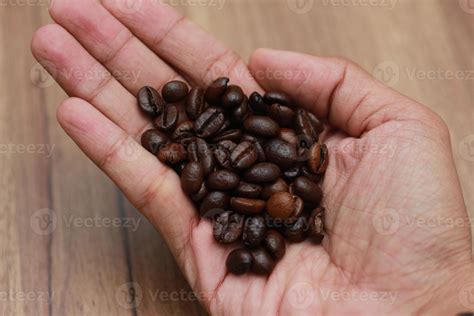 detalhado foto do café feijões antes ser processado para dentro uma