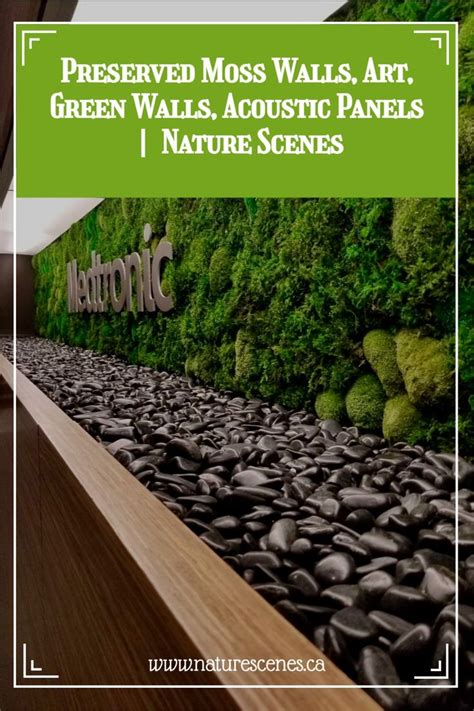 A Green Wall With Rocks And Plants In The Background That Reads
