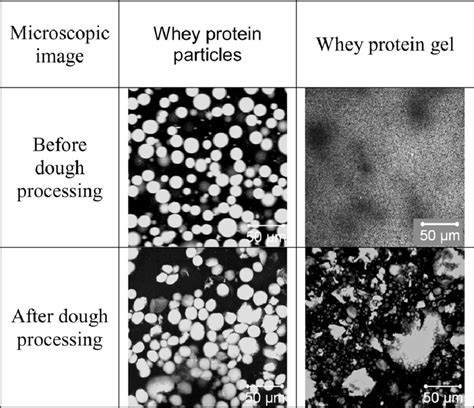 Microscopic Images Of Protein Particle Structures Before And After