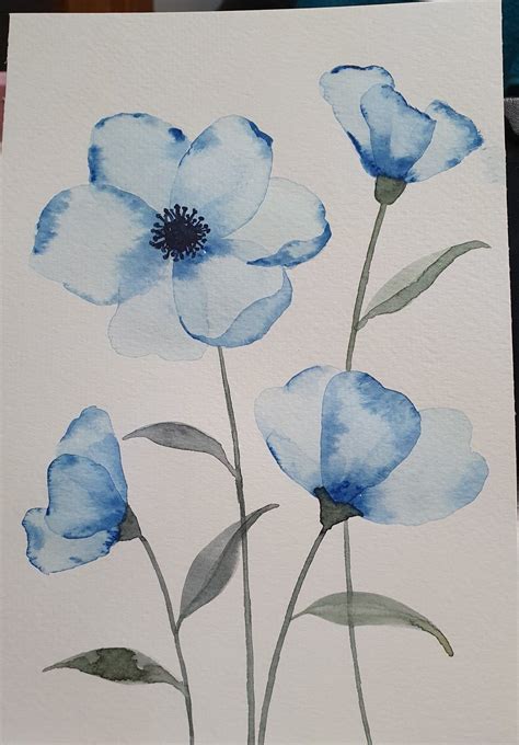 Flores Transparentes Azules Pinturas Florales Ilustracion Acuarela