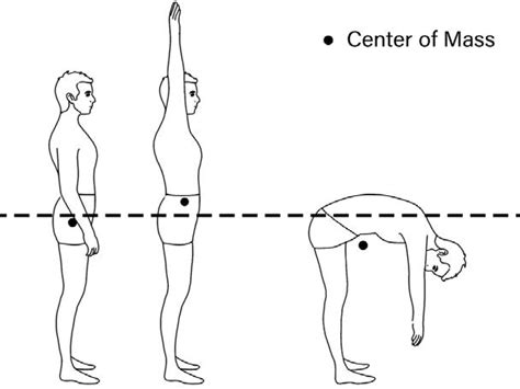 Center Of Mass Olearno