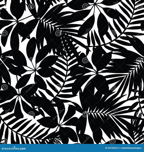 Zwart Wit Tropisch Bladeren Naadloos Patroon Vector Illustratie